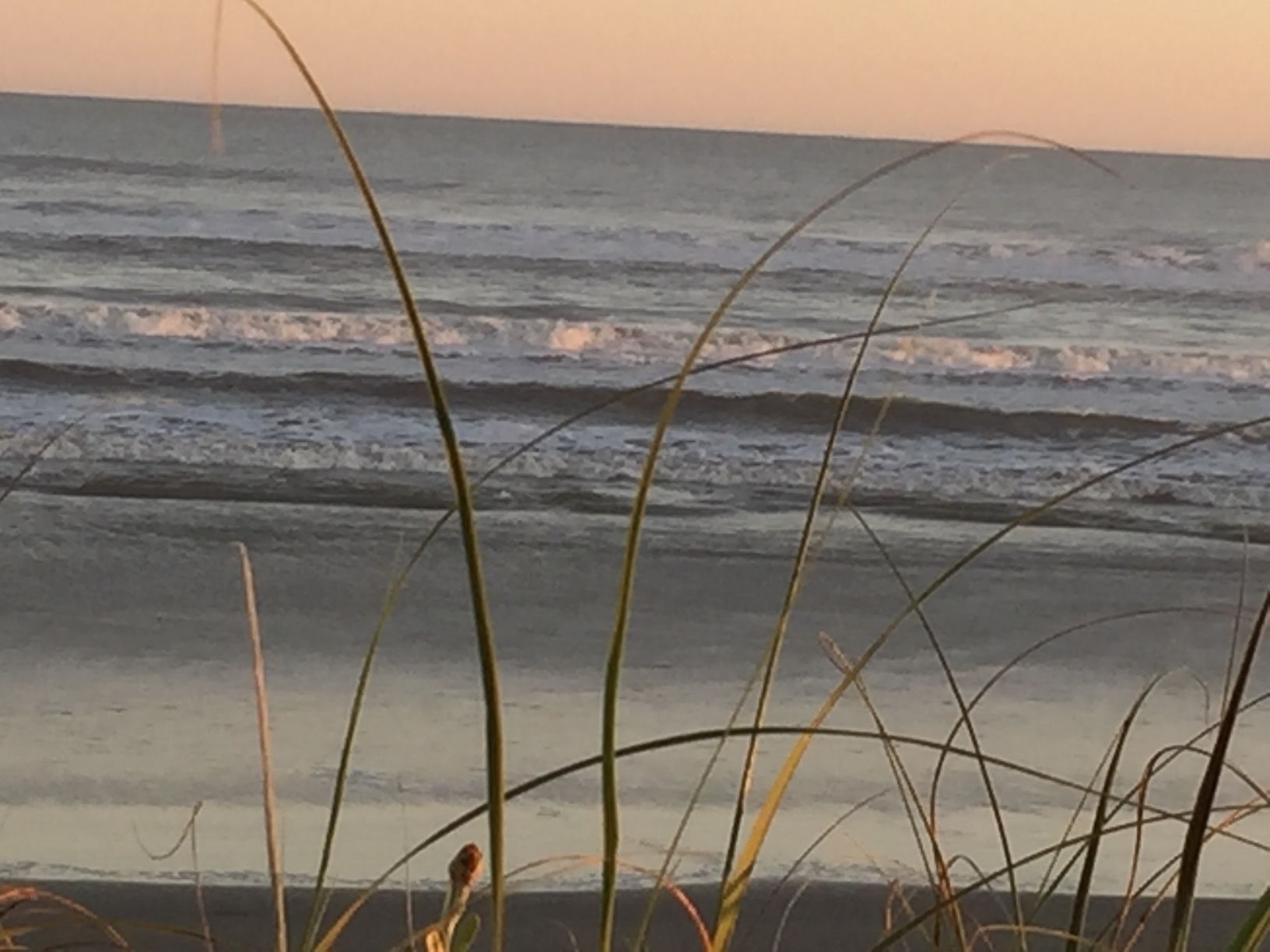Uma praia com ondas e grama alta em primeiro plano.
