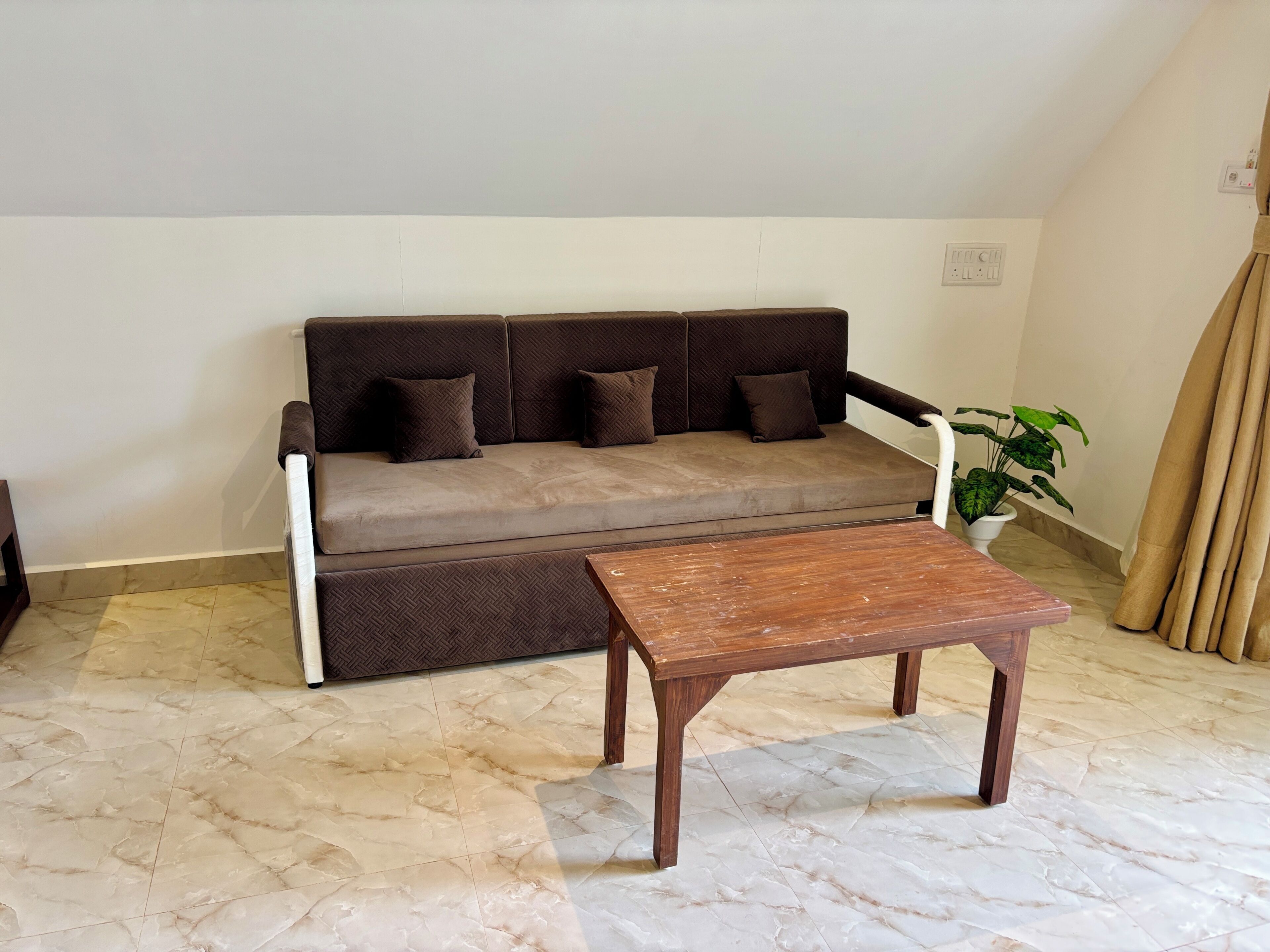 Uma sala de estar com um sofá, uma mesa de centro de madeira e um vaso de planta.