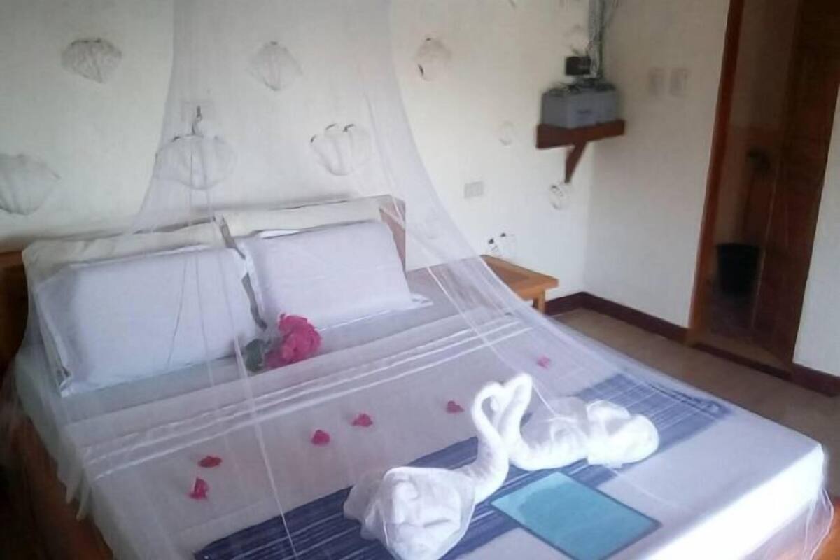 Secretária, cortinas/cortinados opacos, quartos insonorizados 