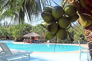 Piscina exterior, espreguiçadeiras 