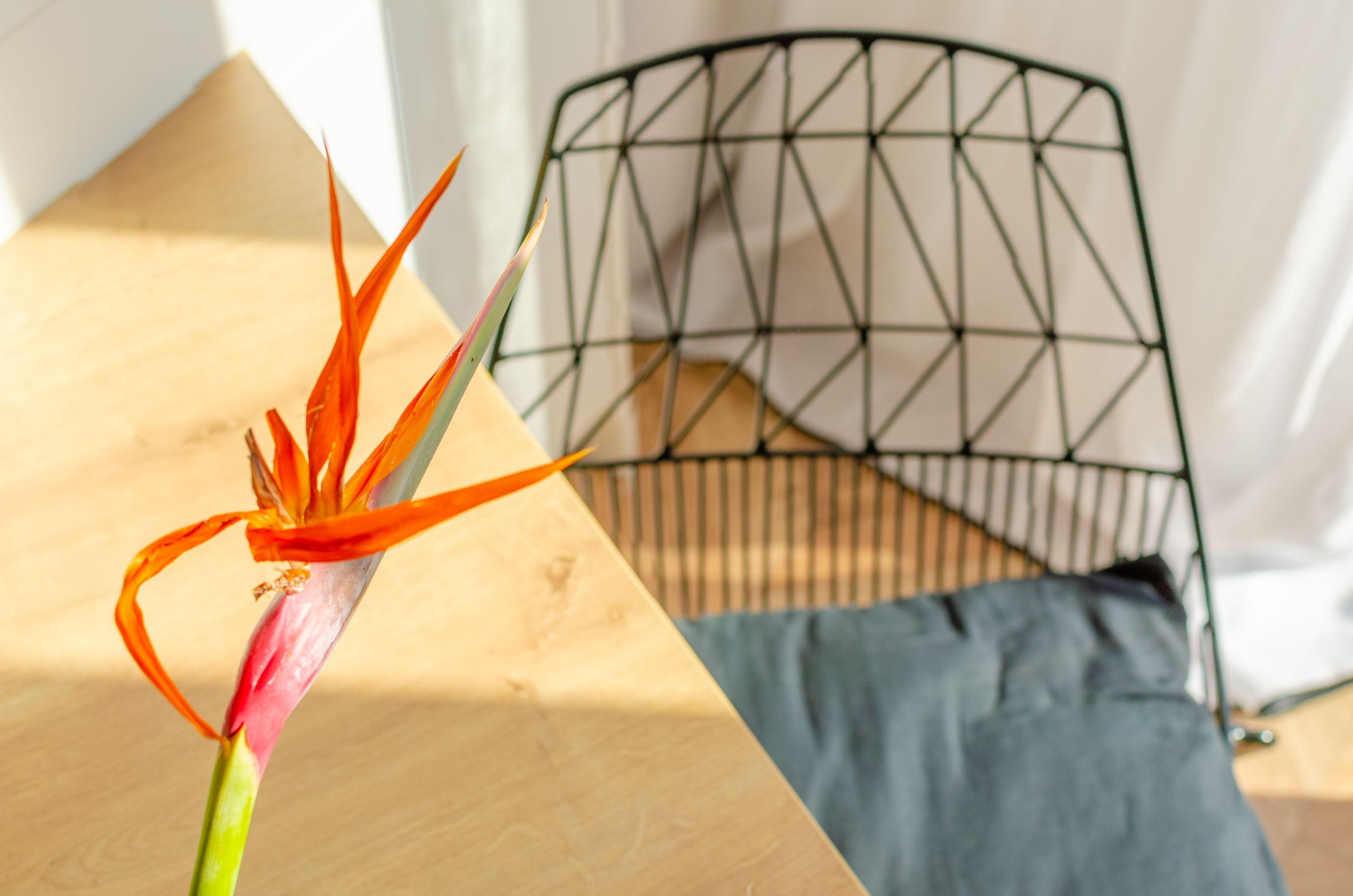 Um quarto com uma cadeira de arame geométrica, uma mesa de madeira e um vaso com planta.