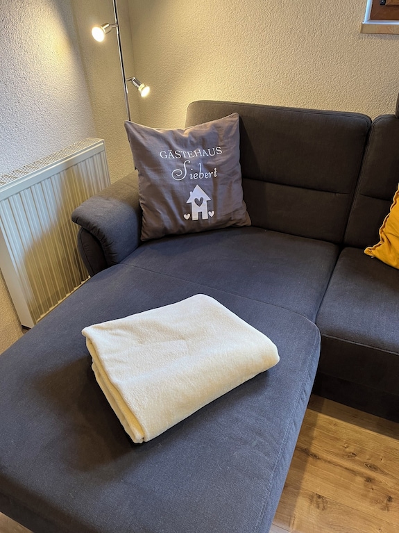 5-star Family Holiday Apartment In The Siebert Bad Brambach Guest House - Bad Brambach