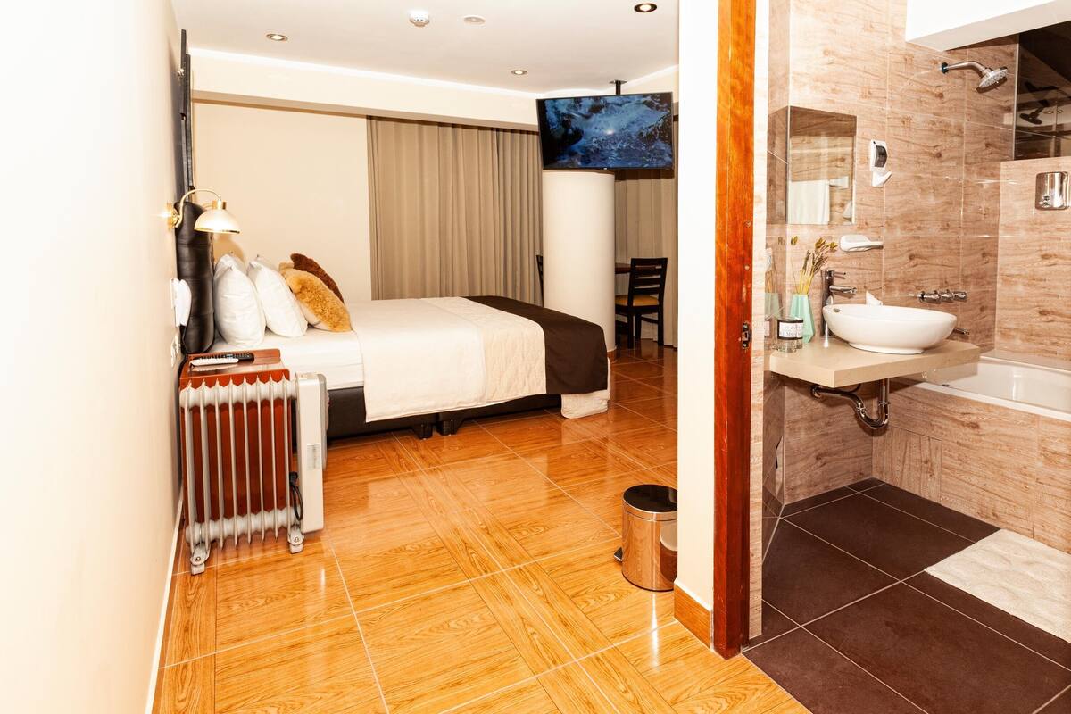Quarto de hotel com cama, televisão, banheiro com pia e chuveiro, e radiador.