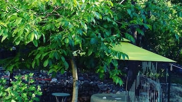 Uma árvore com copa verde, cerca de metal preta e um objeto amarelo no chão.