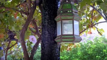 Jardim