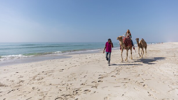 Uma praia arenosa com pegadas que levam à água, uma pessoa caminhando com camelos, e o oceano ao fundo.