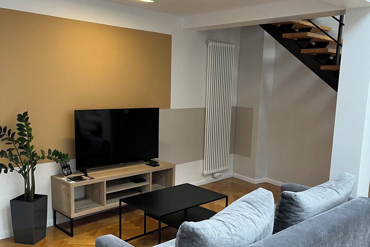 Uma sala de estar moderna com um sofá cinza, uma televisão de tela plana sobre um suporte de madeira, uma mesa de centro preta e um vaso com planta.