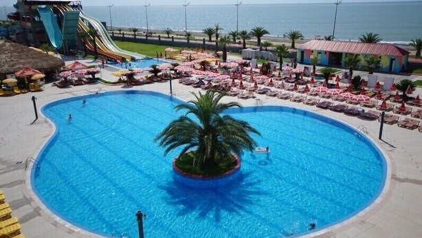 Uma piscina grande com uma palmeira no centro, rodeada por espreguiçadeiras e guarda-sóis.