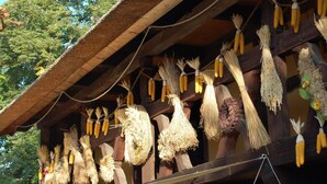 Um edifício tradicional com várias cestas suspensas cheias de milho seco e outros grãos.