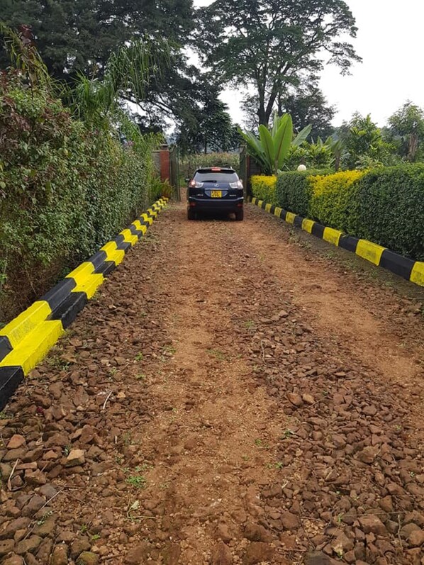 Um caminho de terra com guias pintadas em amarelo e preto, ladeado por sebes e árvores verdes.