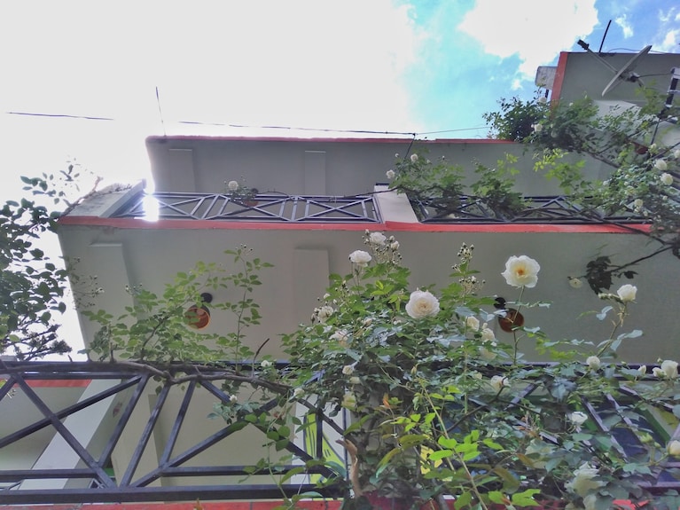 Hostel For Backpackers Around The World - Himachal Pradesh