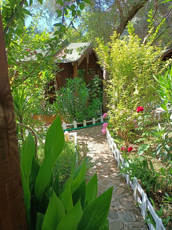 Canario Bungalows - Çıralı