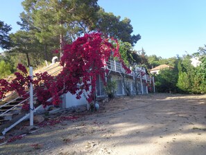 Fachada do alojamento