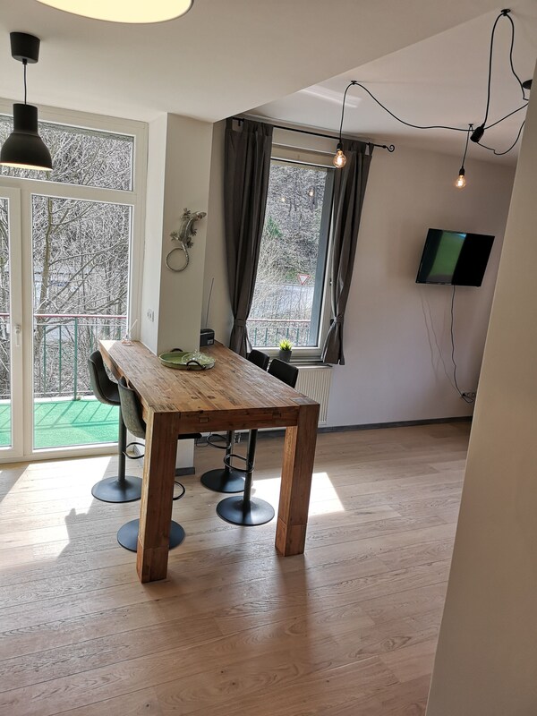 Gemütliche Wohnung Am Waldrand - Walkenried