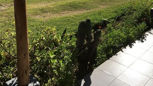 Uma área de piscina com um edifício ao fundo, cercada por vegetação e montanhas.