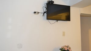 Televisão de tela plana presa em uma parede branca, com cabo de alimentação e entrada USB.