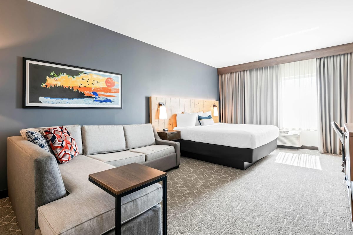 Quarto de hotel com sofá, cama, mesa de cabeceira, abajur e um quadro na parede.