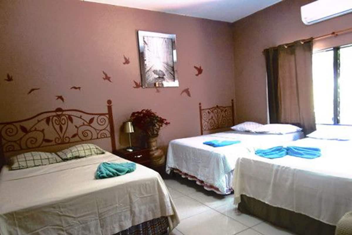 Minibar, cofre no quarto, Wi-fi grátis, roupa de cama fornecida