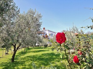 Uma casa rodeada por um jardim com uma oliveira imponente e um roseiral.