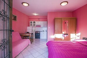 Apartamento, 1 cama de casal e sofá-cama | 1 quarto, com mobília individualizada, secretária, Wi-fi grátis 