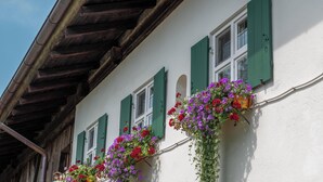 Um edifício com paredes brancas e persianas verdes, com caixas de flores contendo flores vermelhas e roxas.