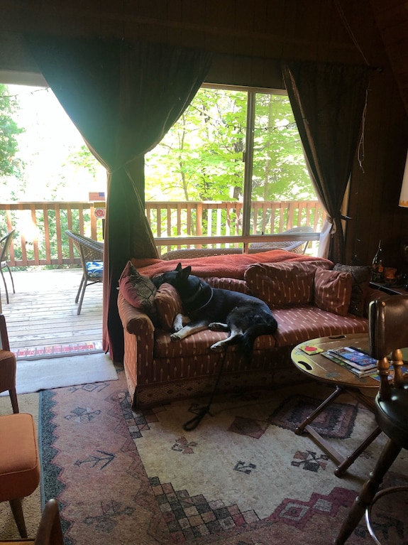 Serene Sierra Cabin In The Big Trees Forest- Dog Woods Cabin - Calaveras Big Trees State Park, Arnold