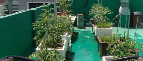 Espaço exterior para banquetes