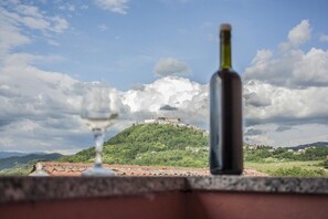 Quarto standard, vista para o vinhedo | Vista do quarto