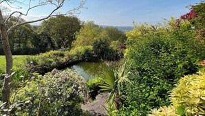 Um jardim com lago, diversas plantas e céu claro.