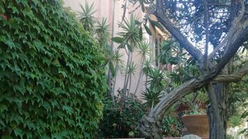 Entrada (vista interior)