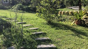 Um jardim com degraus de pedra, vegetação e uma casa ao fundo.