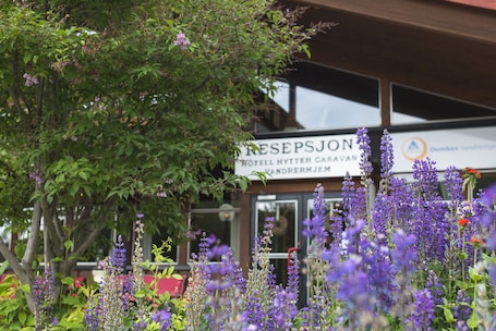 Área da propriedade. Dombås Hostel