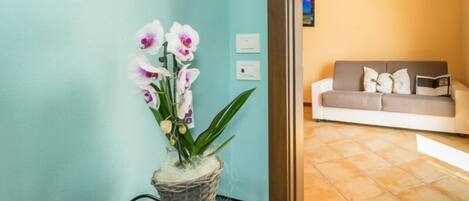 Uma área de recepção com parede verde-água, uma cesta de vime com orquídeas, uma mesa de vidro e um sofá bege com um livro e almofadas.