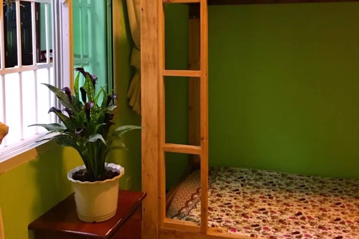Uma cama beliche com escada, um vaso de planta e uma janela com grades.