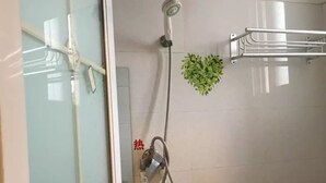 Área de chuveiro com porta de vidro, prateleira na parede e uma pequena planta verde.
