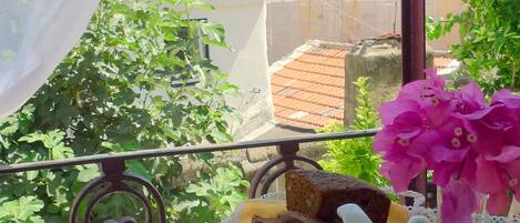 Apartamento, 2 quartos, sacada, vista para o jardim | Sacada