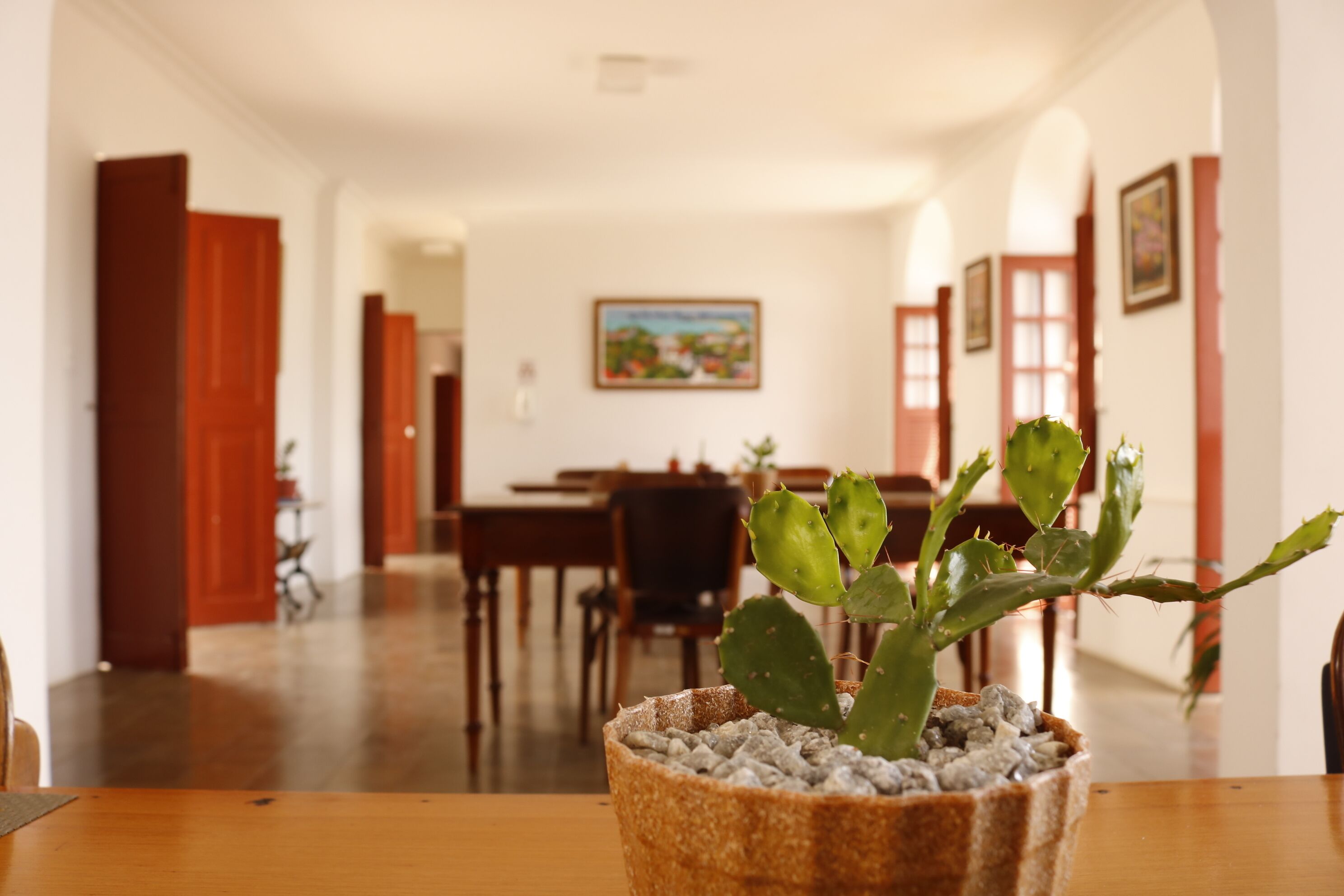 Uma planta de cacto em vaso de fibra natural sobre uma mesa de madeira em um corredor, com uma área de jantar ao fundo.