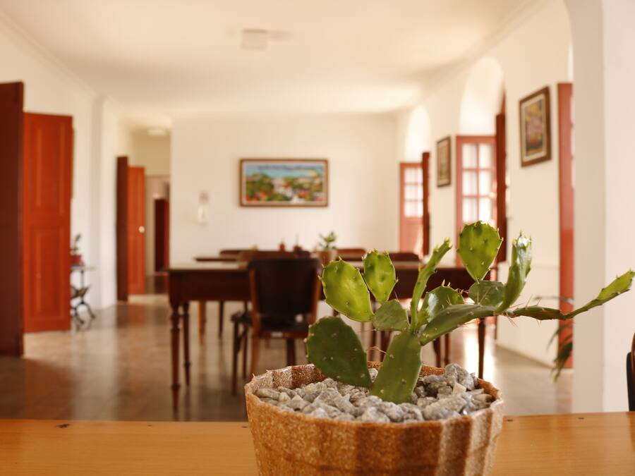 Uma planta de cacto em vaso de fibra natural sobre uma mesa de madeira em um corredor, com uma área de jantar ao fundo.