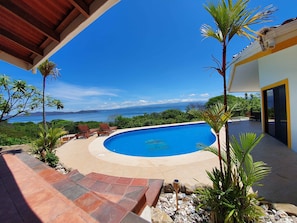 Piscina com borda curva, cercada por um deck ladrilhado e plantas em vasos.