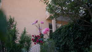 Um jardim com flores cor-de-rosa e folhagem verde.