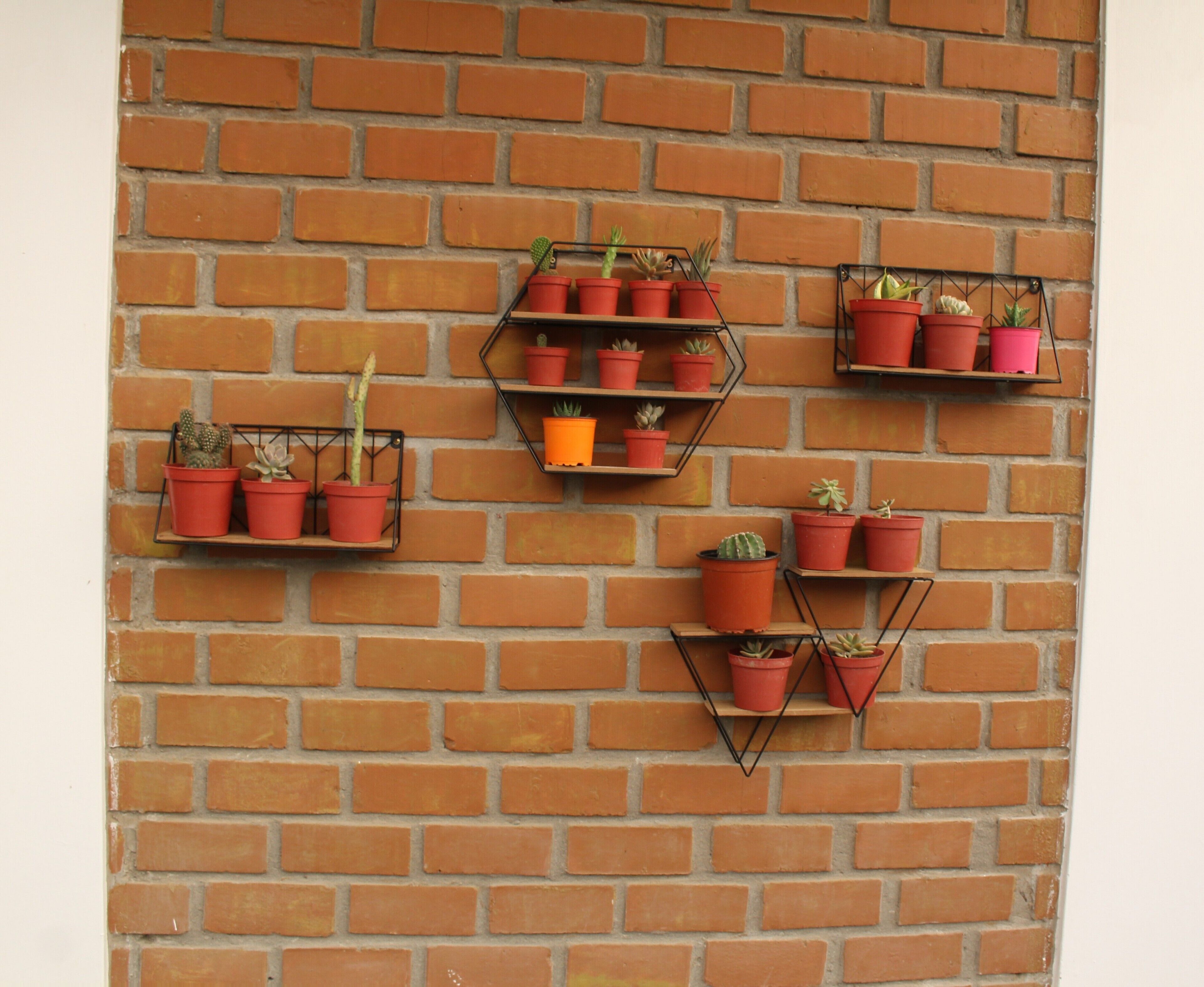 Paredes de tijolos com diversas prateleiras exibindo plantas em vasos.