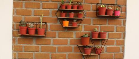 Paredes de tijolos com diversas prateleiras exibindo plantas em vasos.