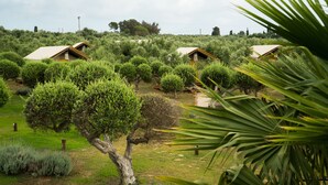 Um cenário rural com duas pequenas cabanas rústicas, rodeadas por vegetação exuberante e oliveiras.