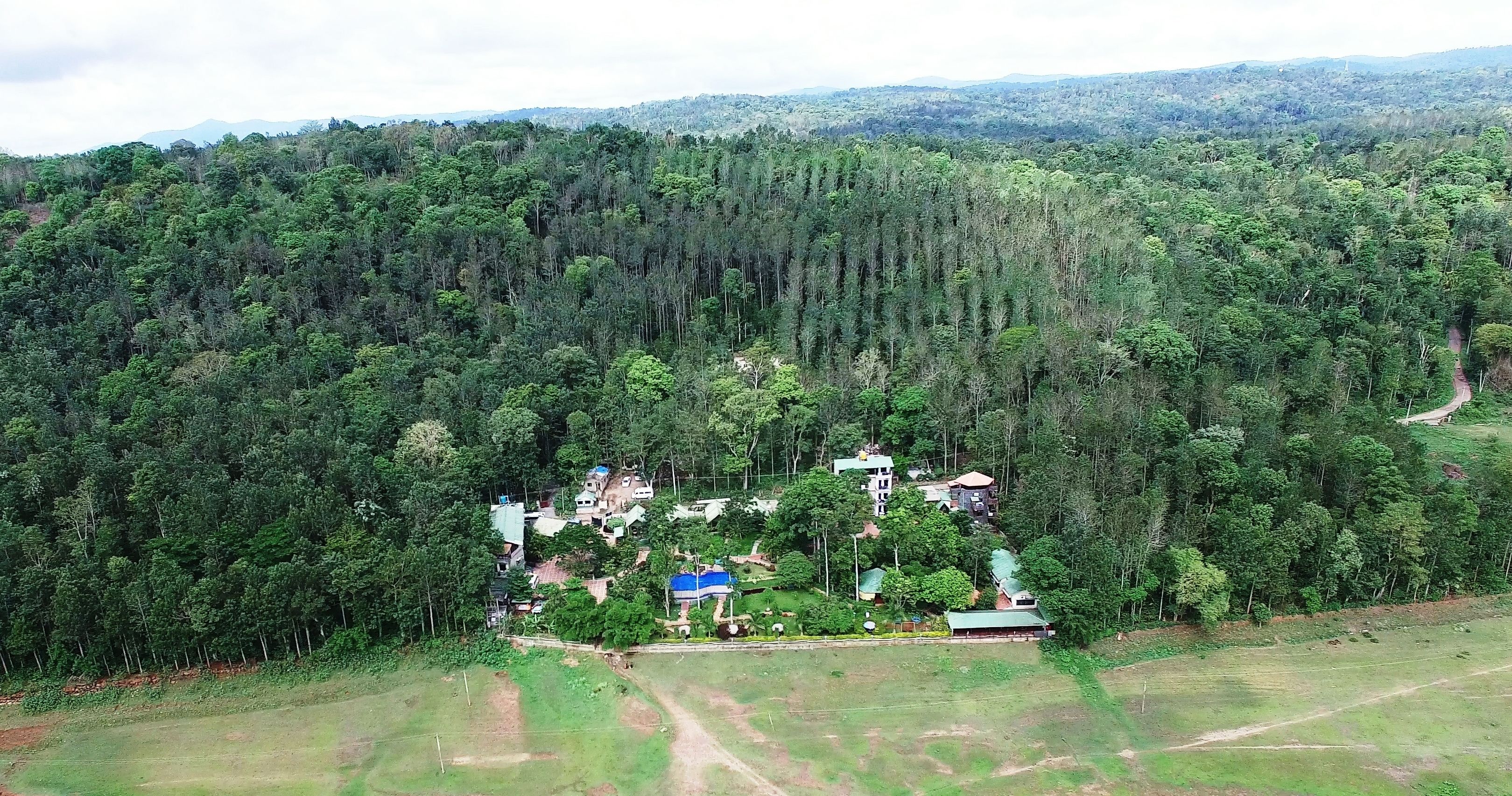 Uma área arborizada com edifícios rodeados por árvores densas.