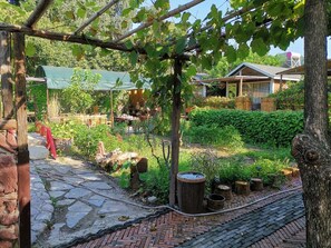 Um jardim com pérgola, caminho de pedra e diversas plantas.