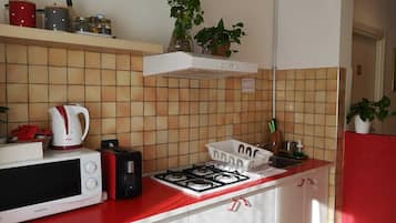 Um frigorífico/congelador grande, um micro-ondas, uma placa de cozinha