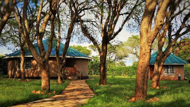 Caminho que leva a um edifício com telhado verde, rodeado por árvores e relva.