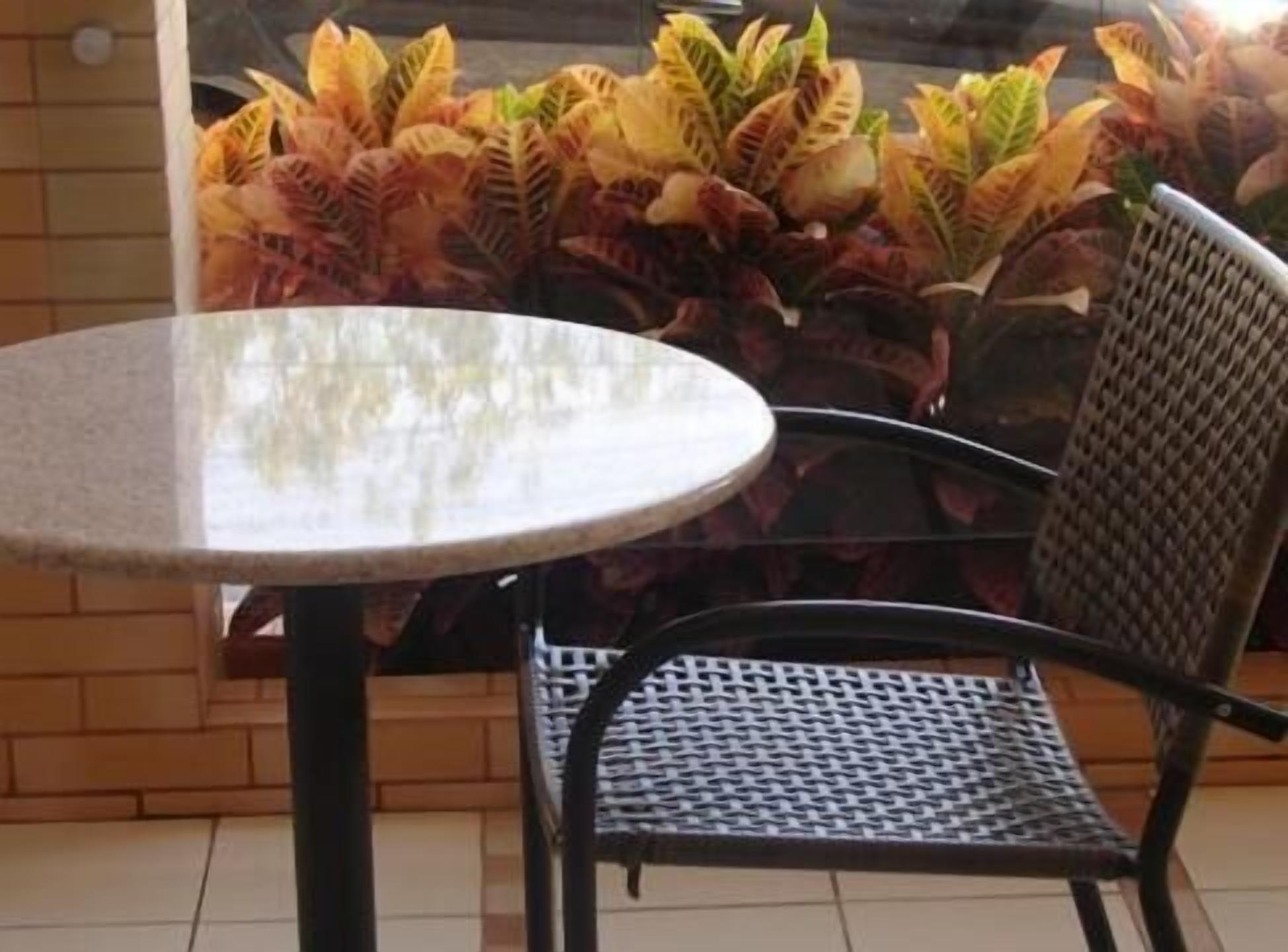 Mesa redonda com cadeira de metal em frente a janela, vista para diversas plantas.