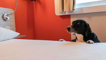 Quarto de hotel com uma cama, uma luminária na parede e uma janela com cortinas.