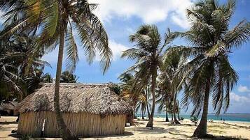 Uma cabana com telhado de palha numa praia arenosa, com palmeiras e céu claro.
